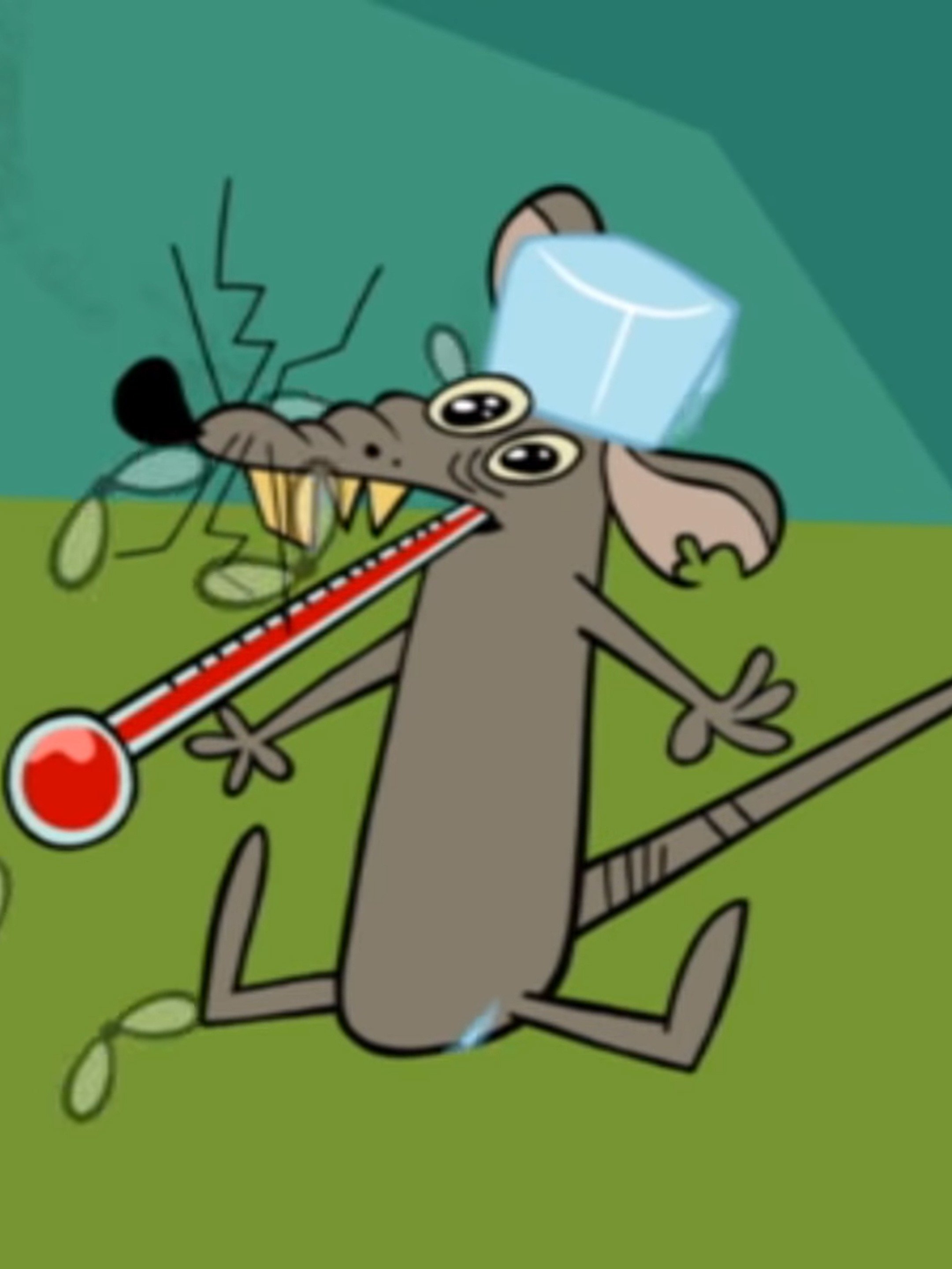 The Rat Truth; Free Stewy Pictures - Rotten Tomatoes