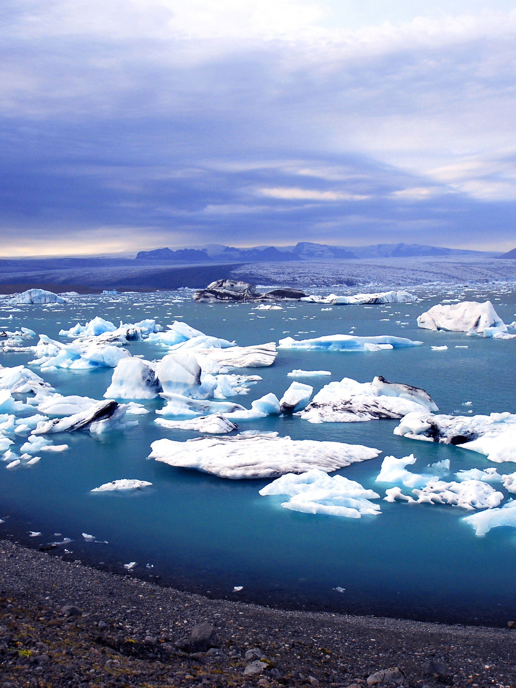 Ninki Nanka; Kikiyaon Pictures - Rotten Tomatoes