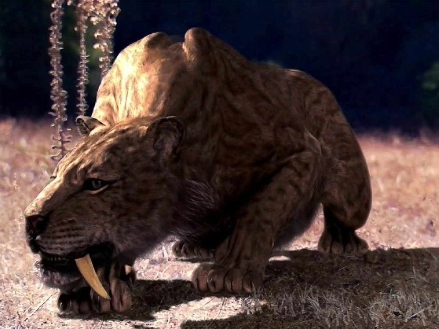 Prehistoric Predators Sabertooth