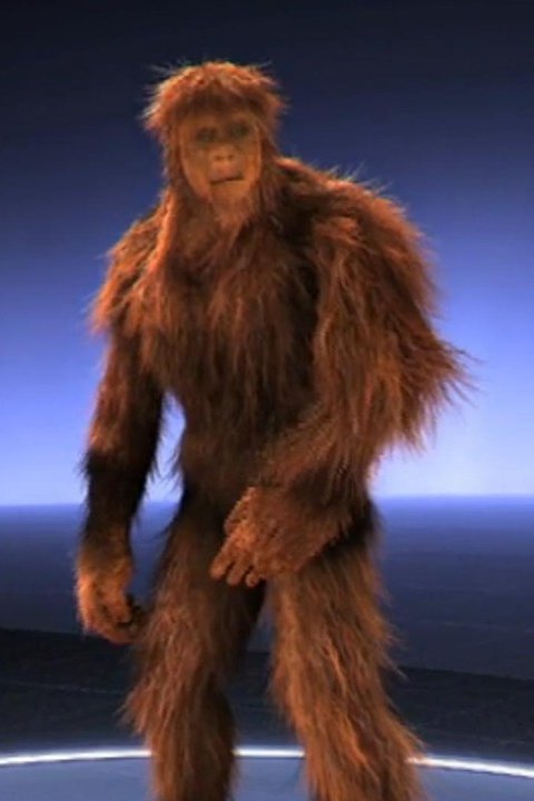 China's Wildman Pictures - Rotten Tomatoes