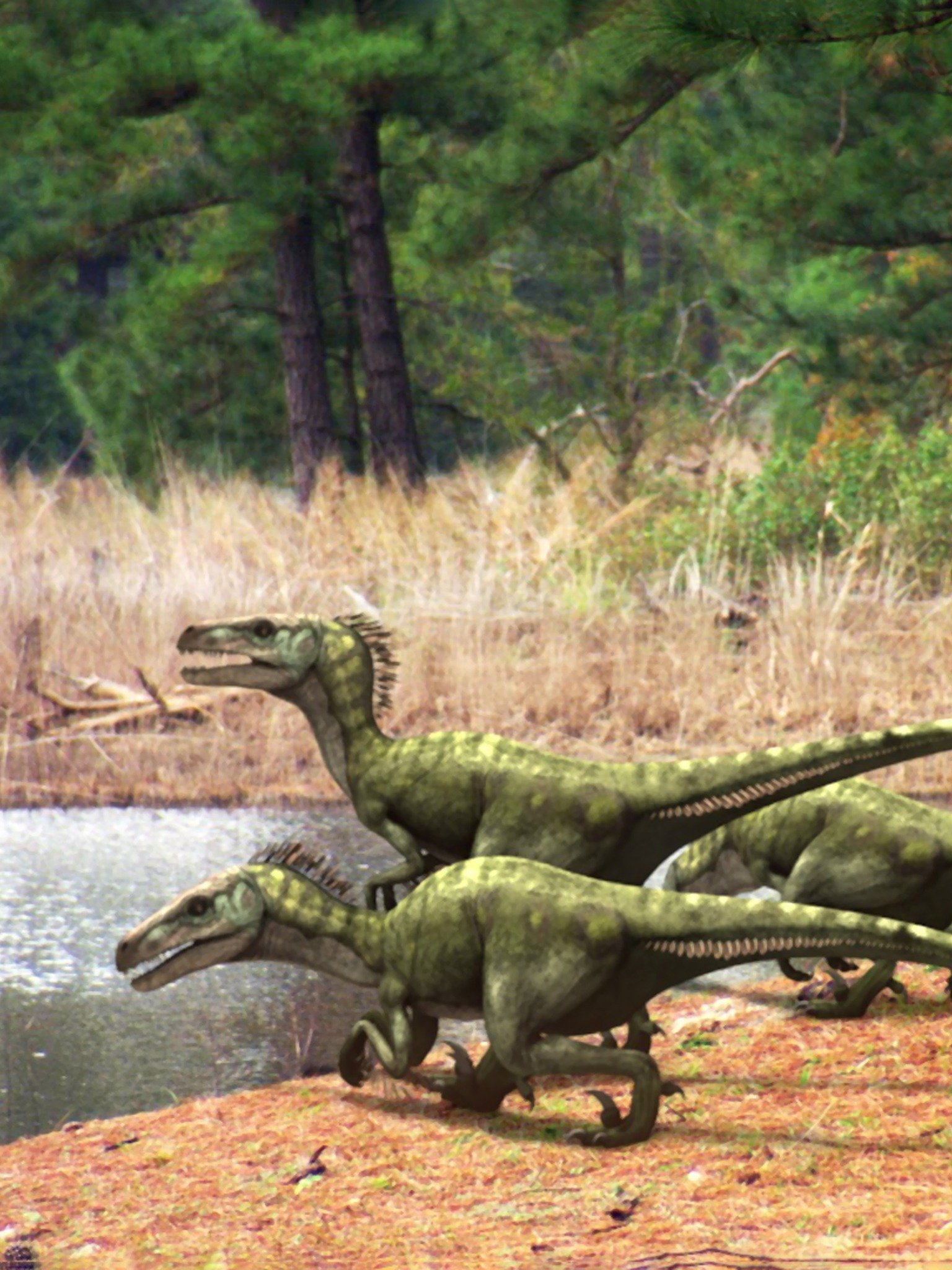 Raptor vs. T-Rex Pictures - Rotten Tomatoes