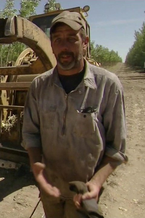 Timber Pictures - Rotten Tomatoes