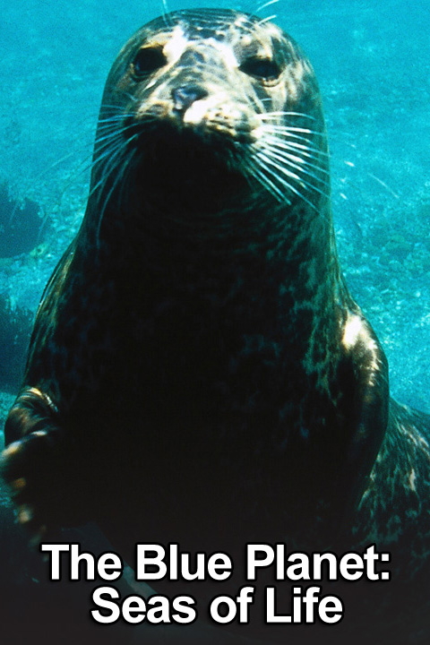 The Blue Planet: Seas of Life - Rotten Tomatoes