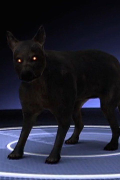 The Real Cujo Pictures - Rotten Tomatoes