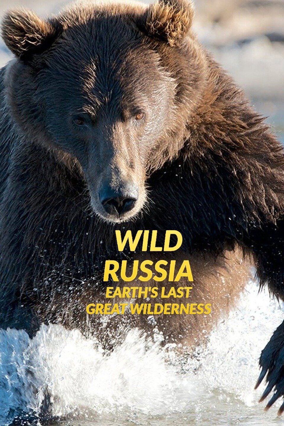 Wild Russia: Earth's Last Great Wilderness - Rotten Tomatoes