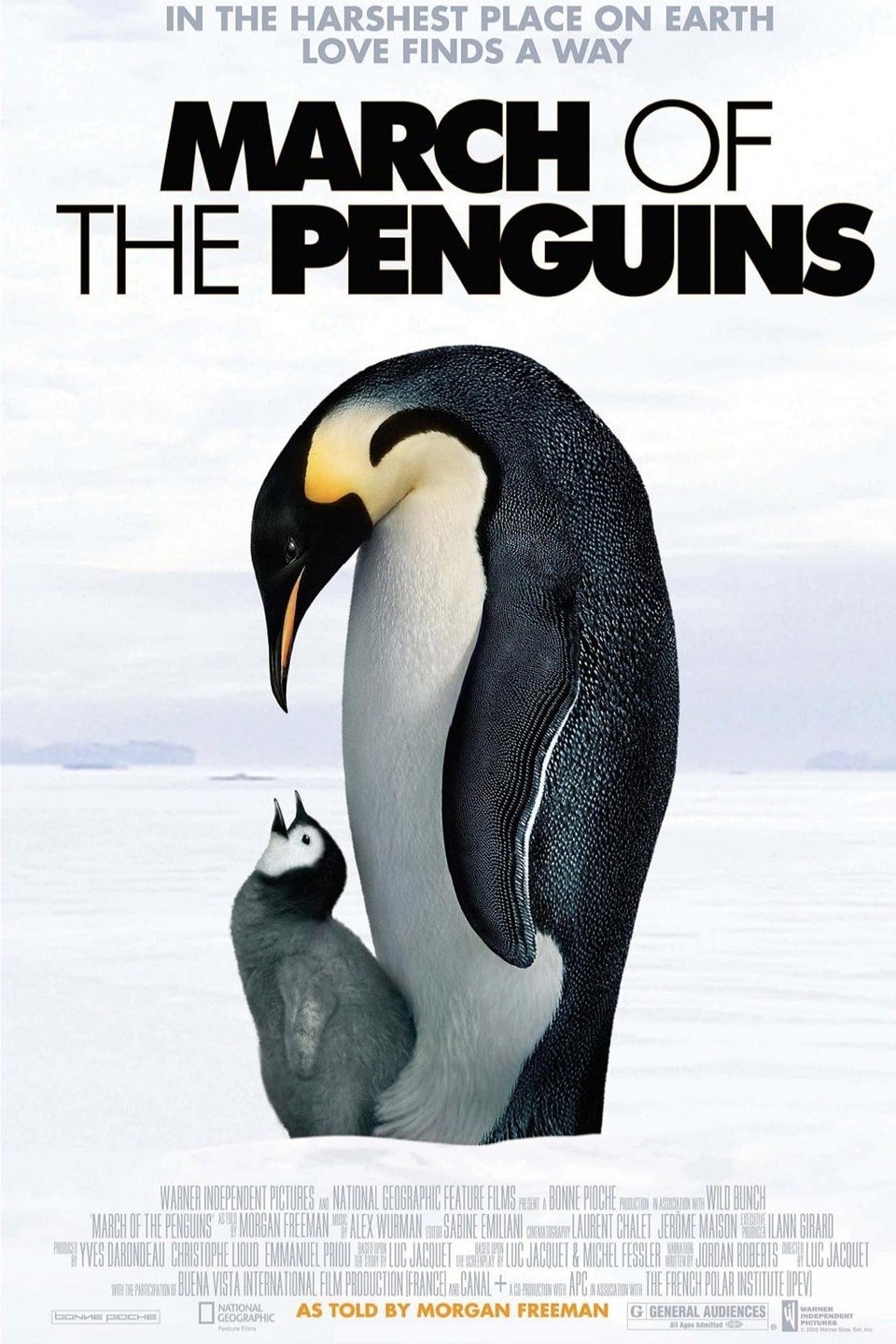 March of the Penguins - Rotten Tomatoes