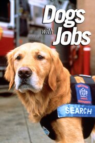 Dogs With Jobs Rotten Tomatoes Dogs With Jobs Rotten Tomatoes
