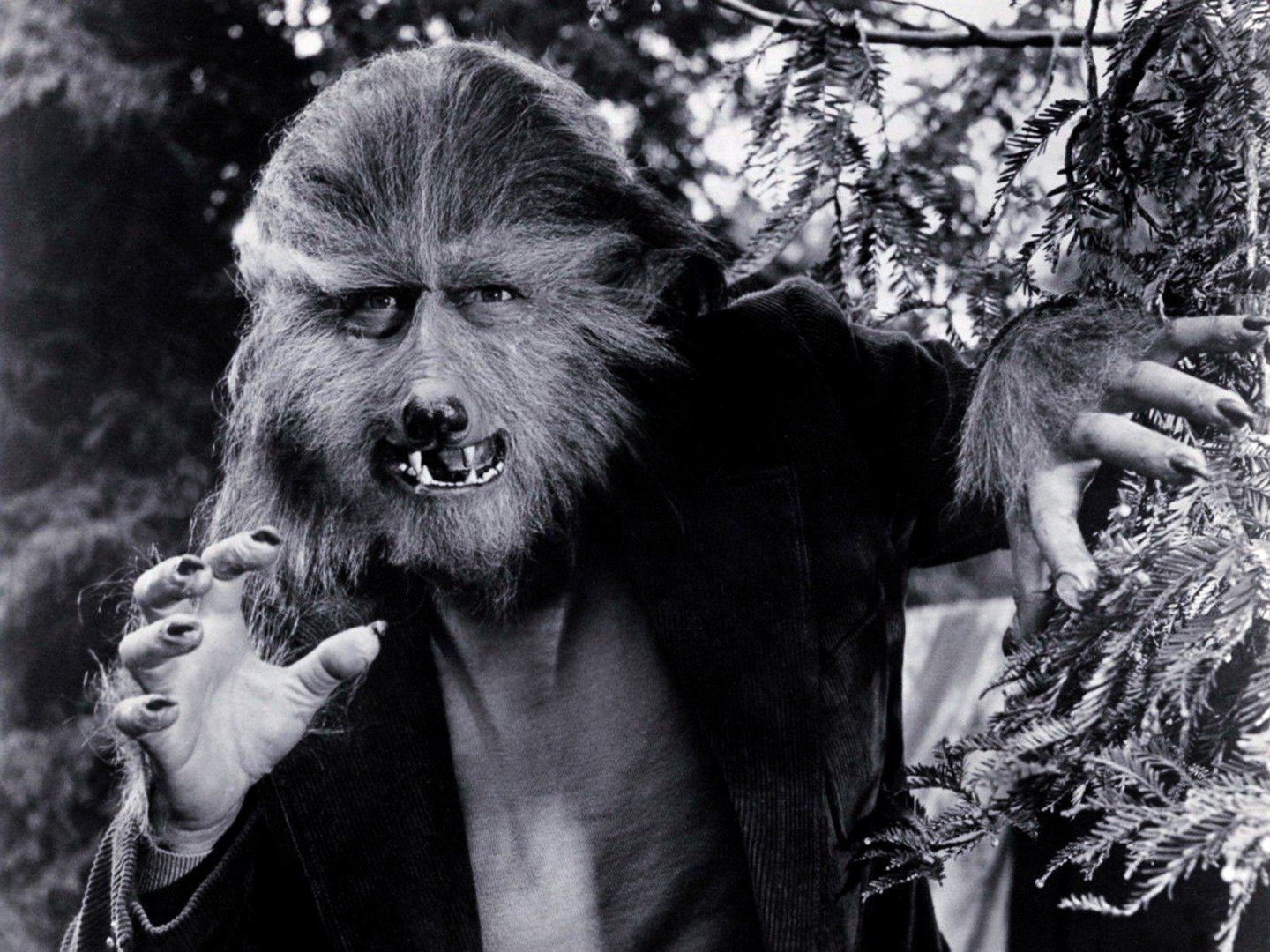 The Boy Who Cried Werewolf 1973