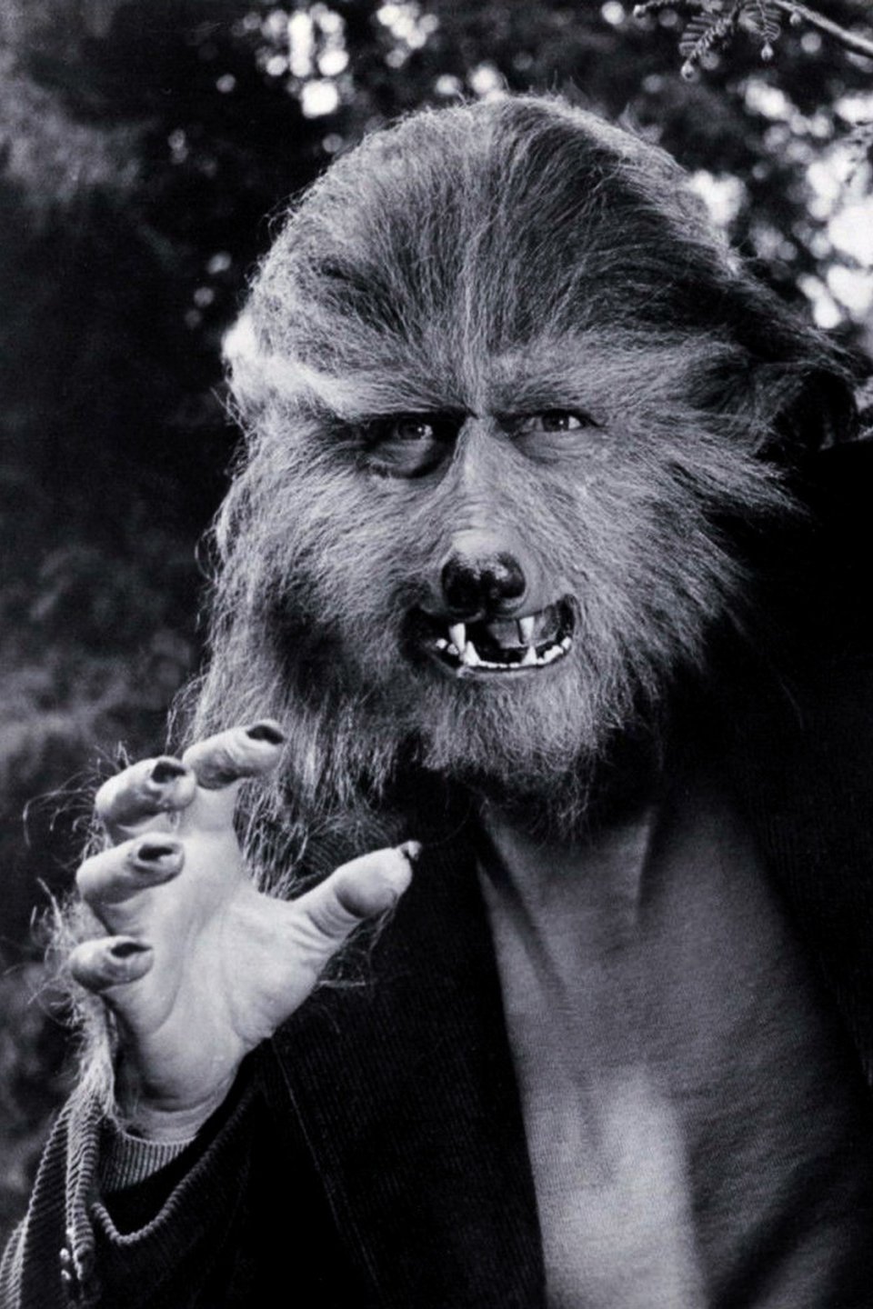 The Boy Who Cried Werewolf 1973