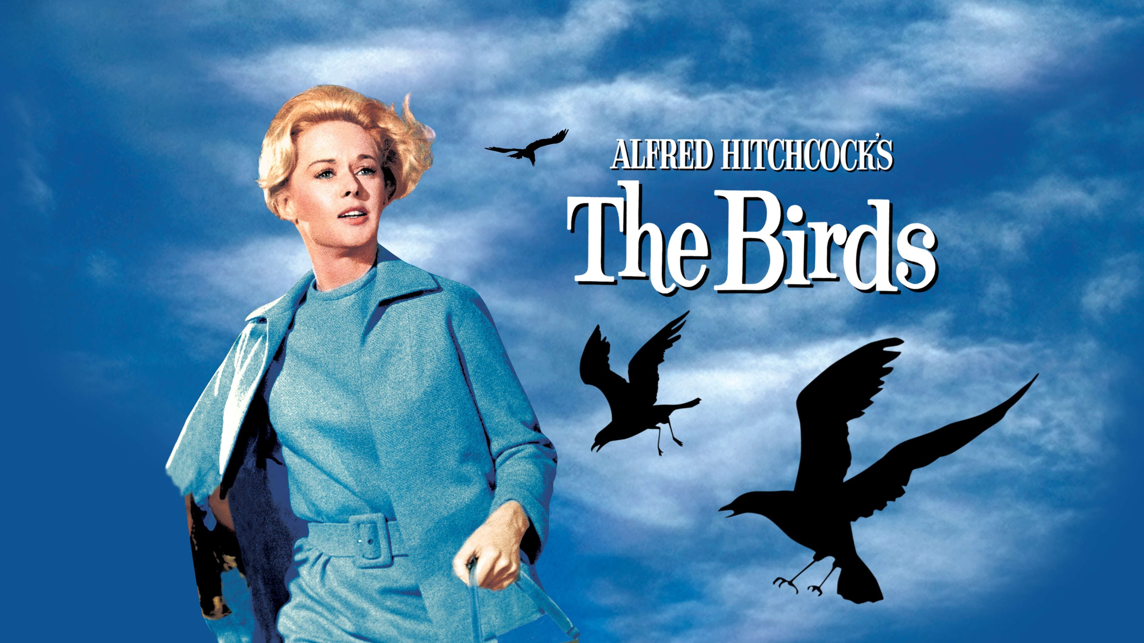 The Birds: Official Clip - Eyes Pecked Out - Trailers & Videos - Rotten ...
