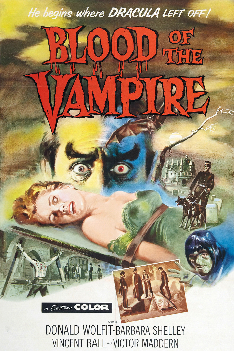 Blood of the Vampire - Rotten Tomatoes