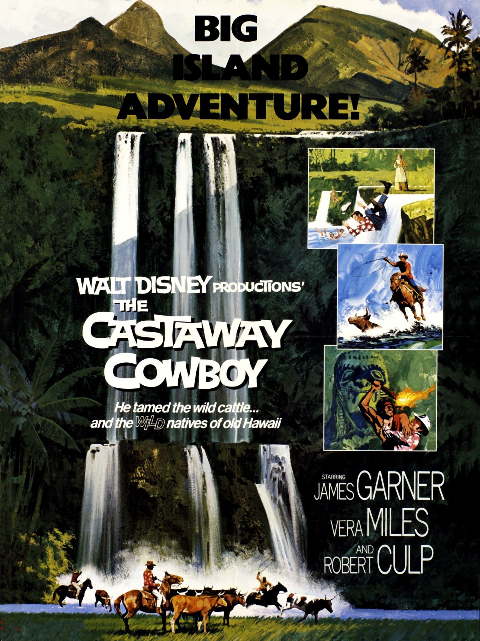 The Castaway Cowboy (1974) - Rotten Tomatoes
