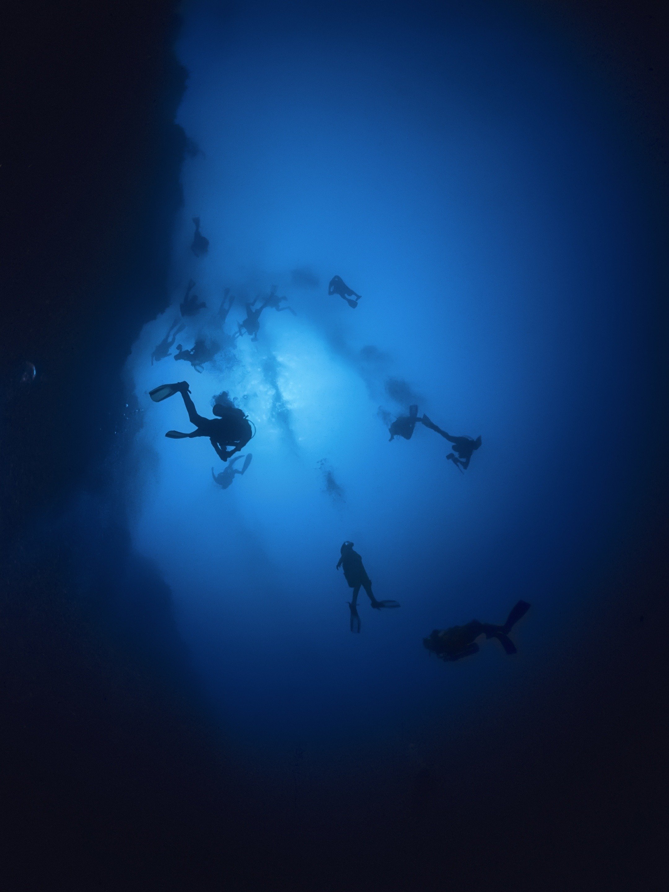 Journeys to the Bottom of the Sea - Rotten Tomatoes