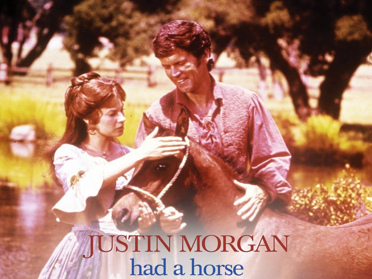 Justin Morgan Had a Horse (1972) - Rotten Tomatoes