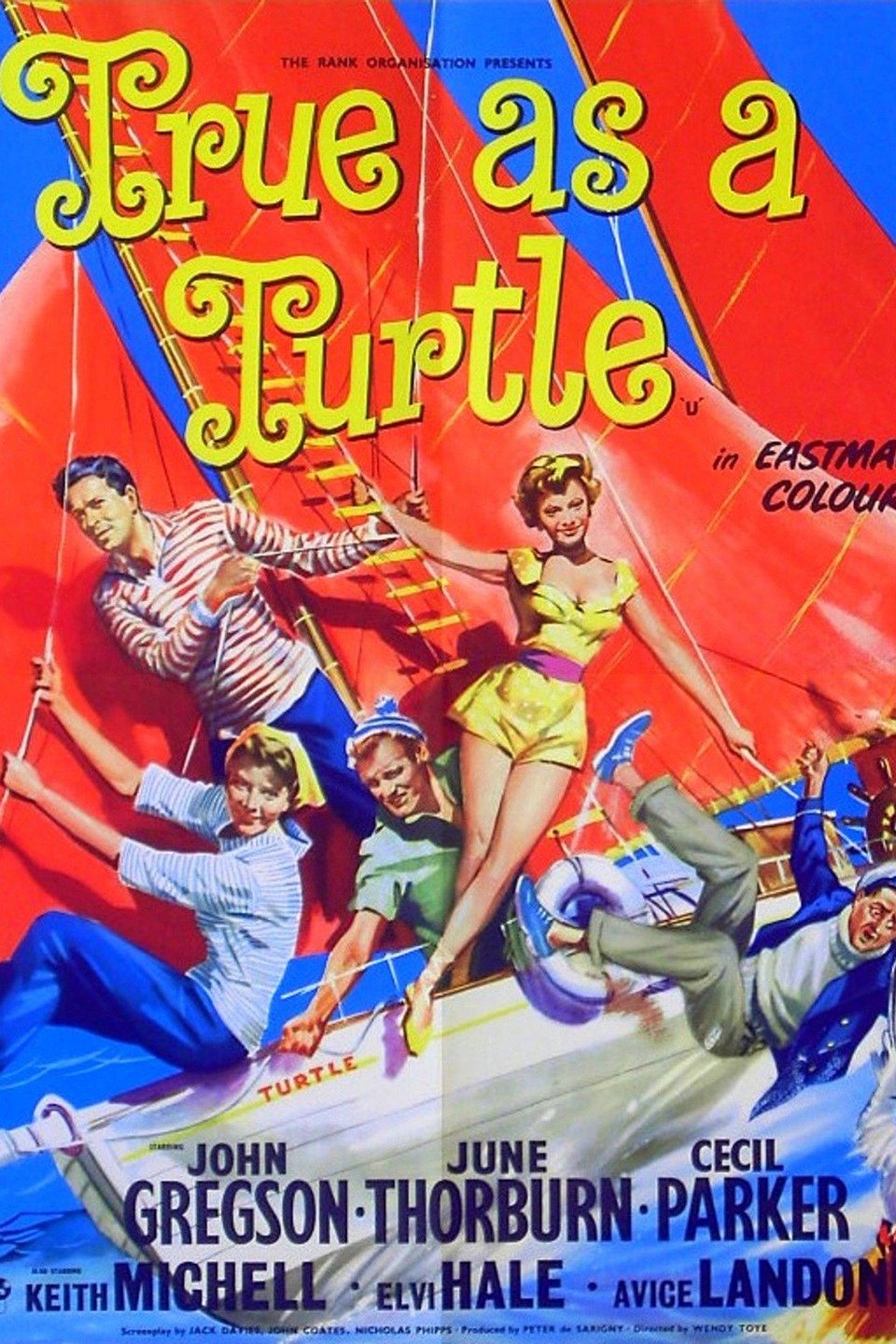 True as a Turtle Pictures - Rotten Tomatoes