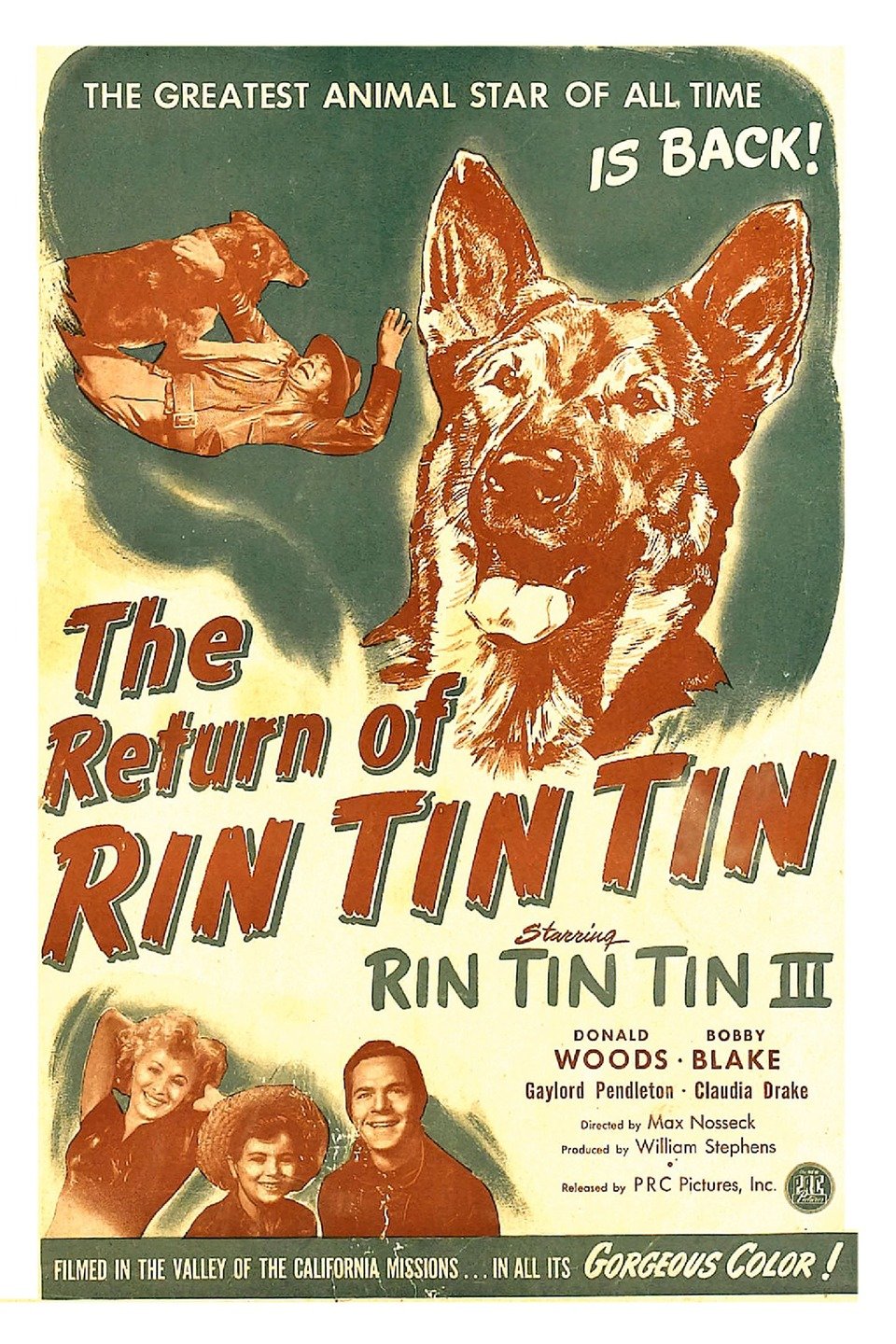 The Return of Rin Tin Tin - Rotten Tomatoes