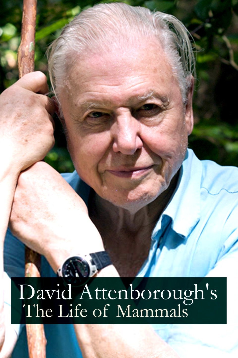 Life Of Mammals By David Attenborough - Hardcover Book - Very Good ...