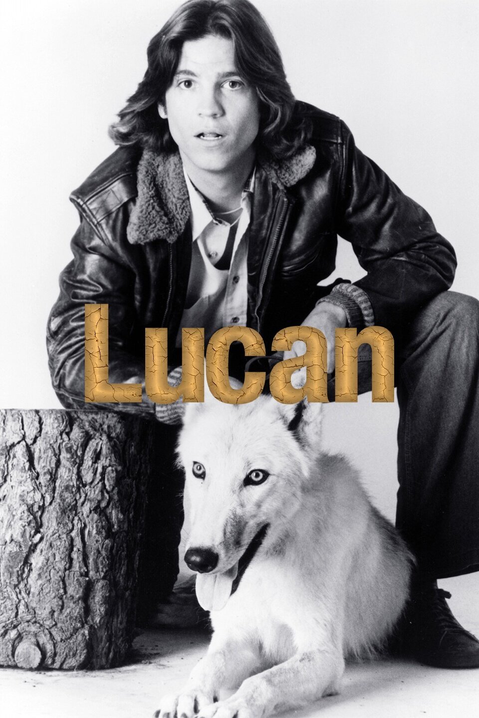 Lucan Pictures - Rotten Tomatoes