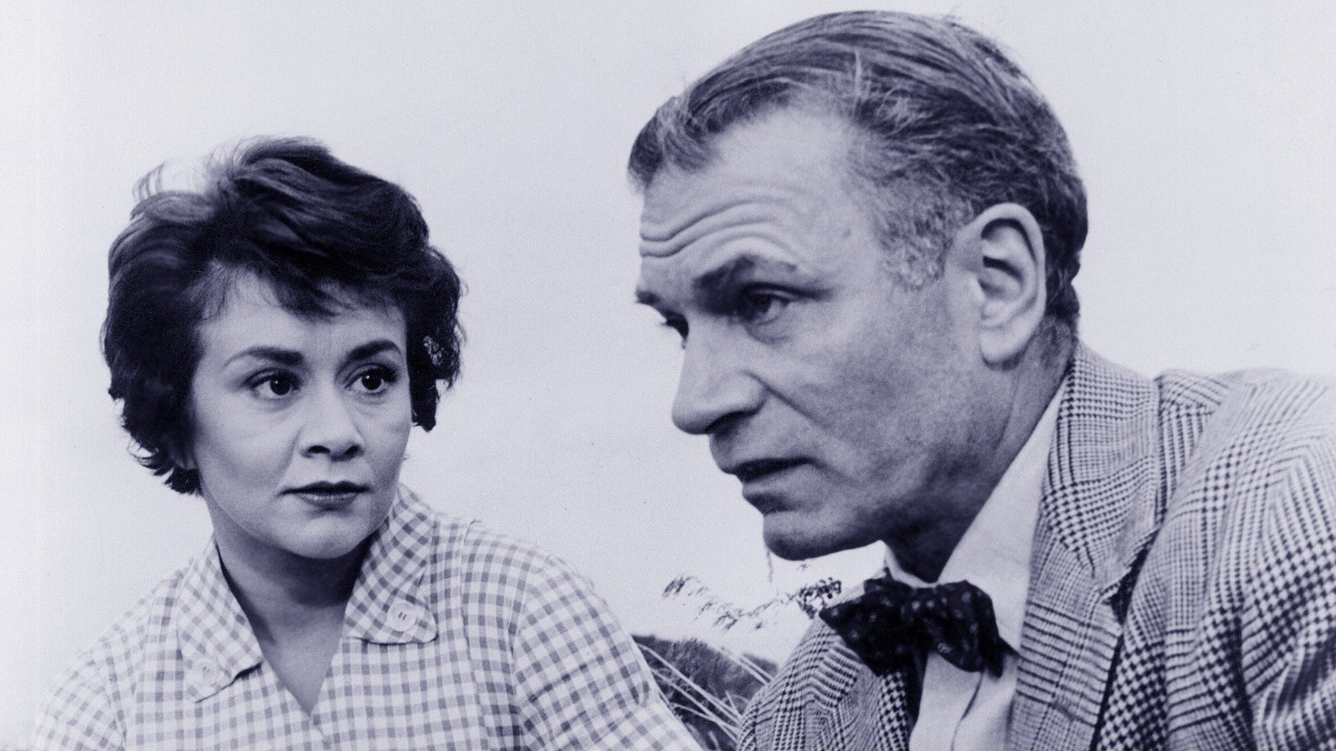 Mick Rice's Instagram, Twitter & Facebook on IDCrawl