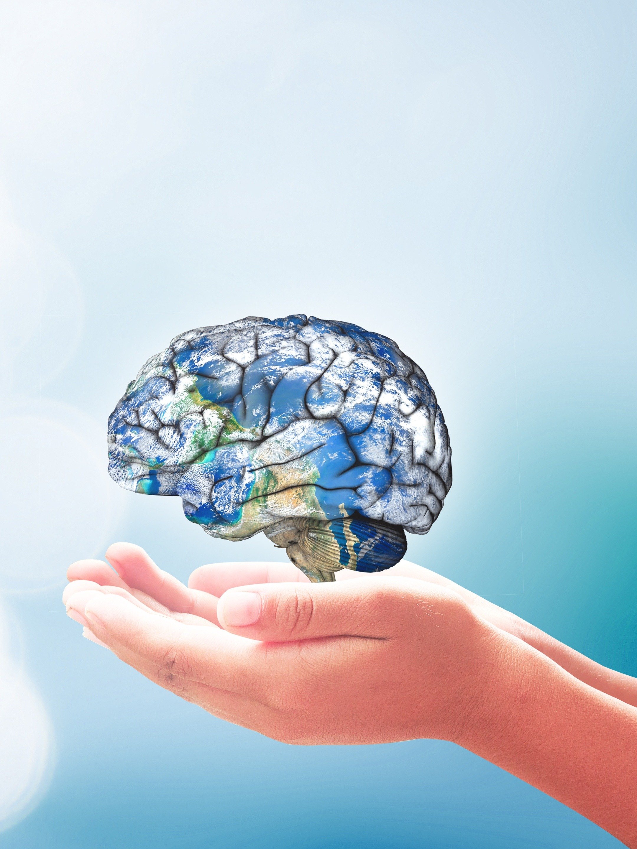 The Brain: Our Universe Within - Rotten Tomatoes