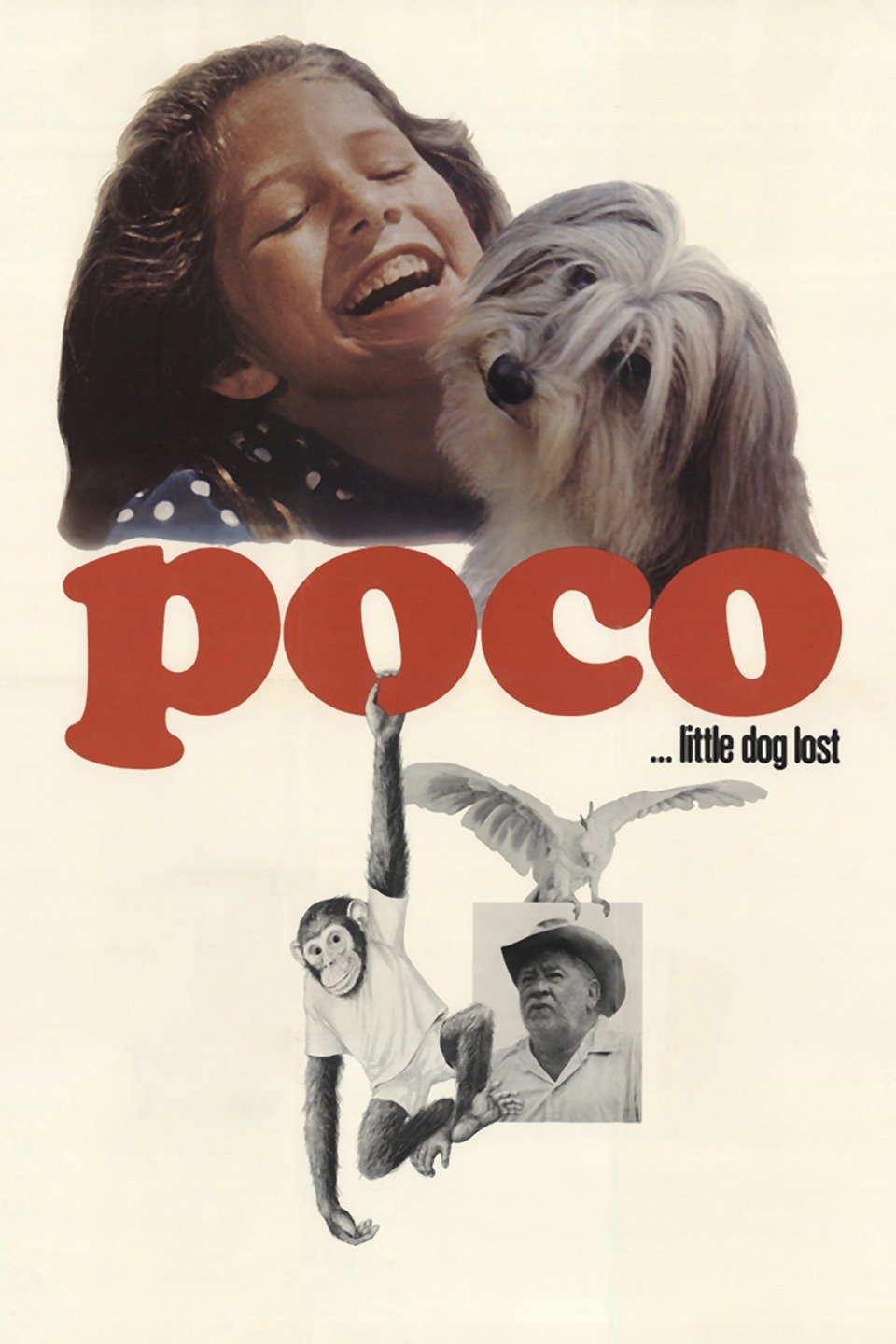 Poco Pictures - Rotten Tomatoes