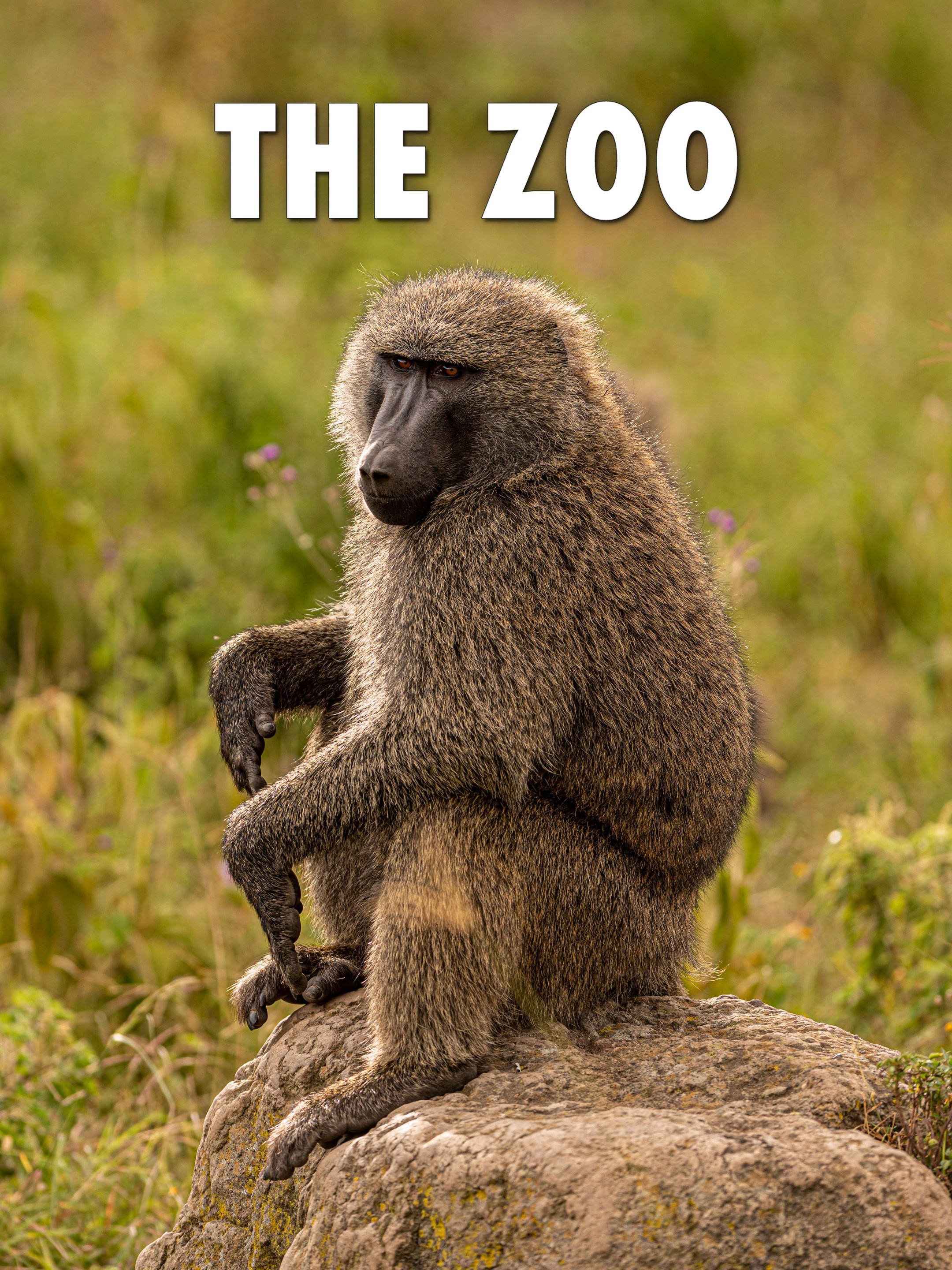 The Zoo - Rotten Tomatoes