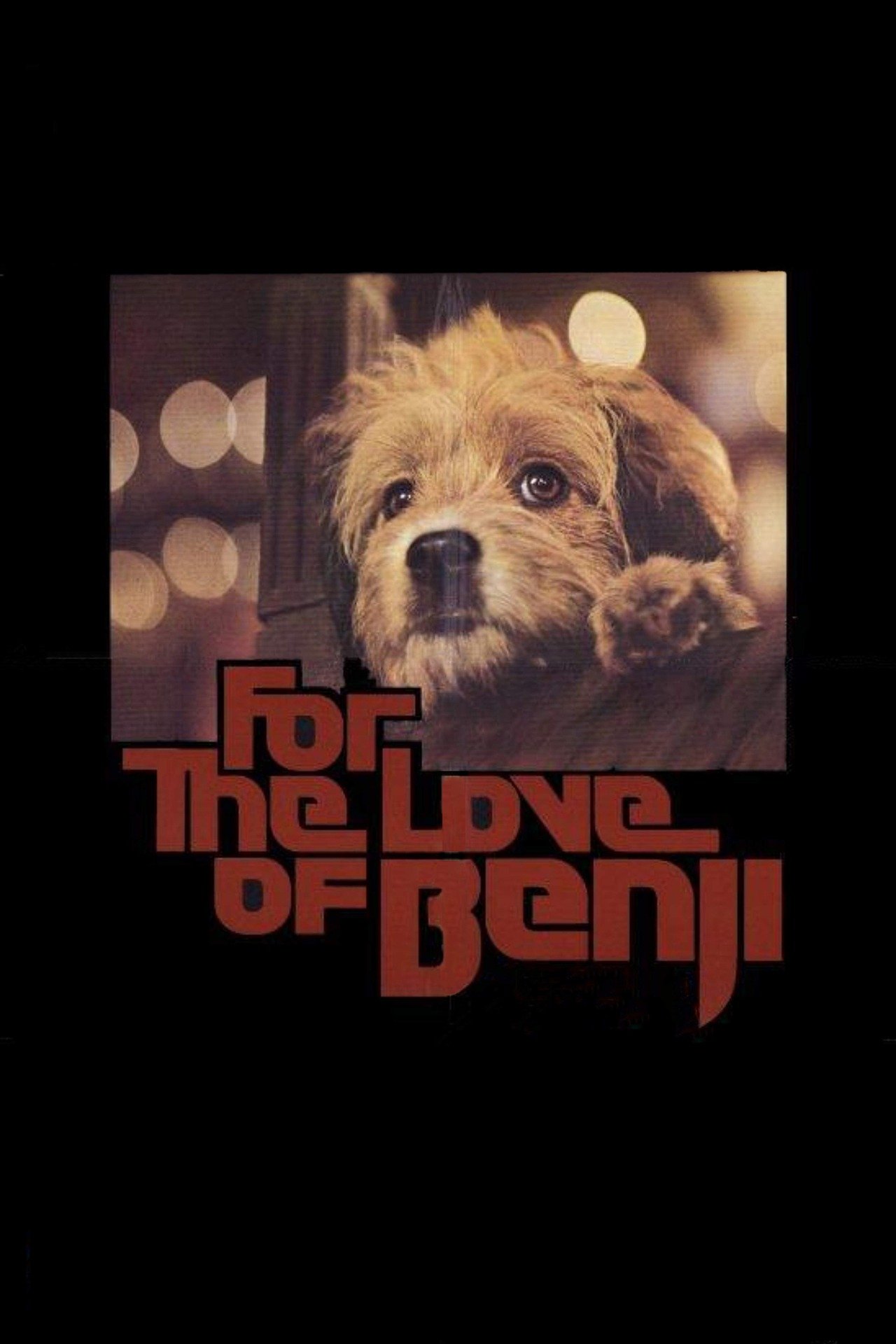 For the Love of Benji - Rotten Tomatoes