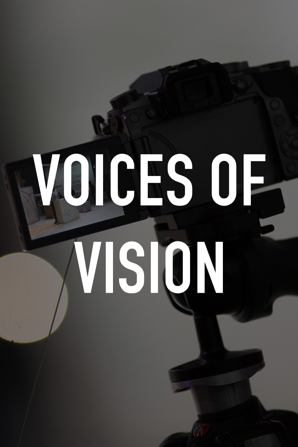 Voices of Vision - Rotten Tomatoes