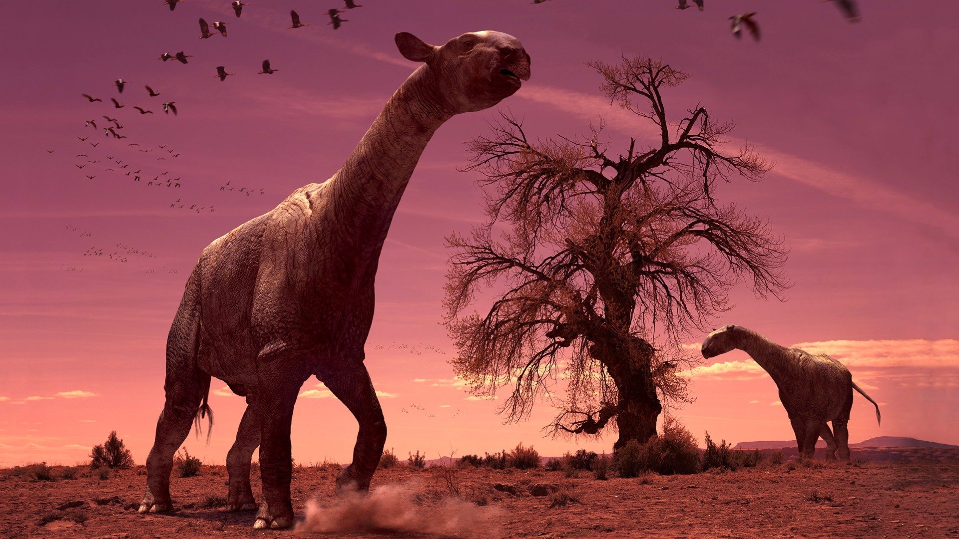 Walking With Beasts Basilosaurus