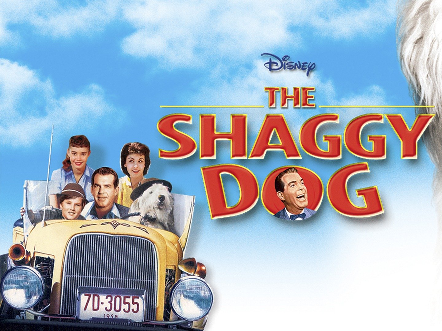 Shaggy Dog Logo