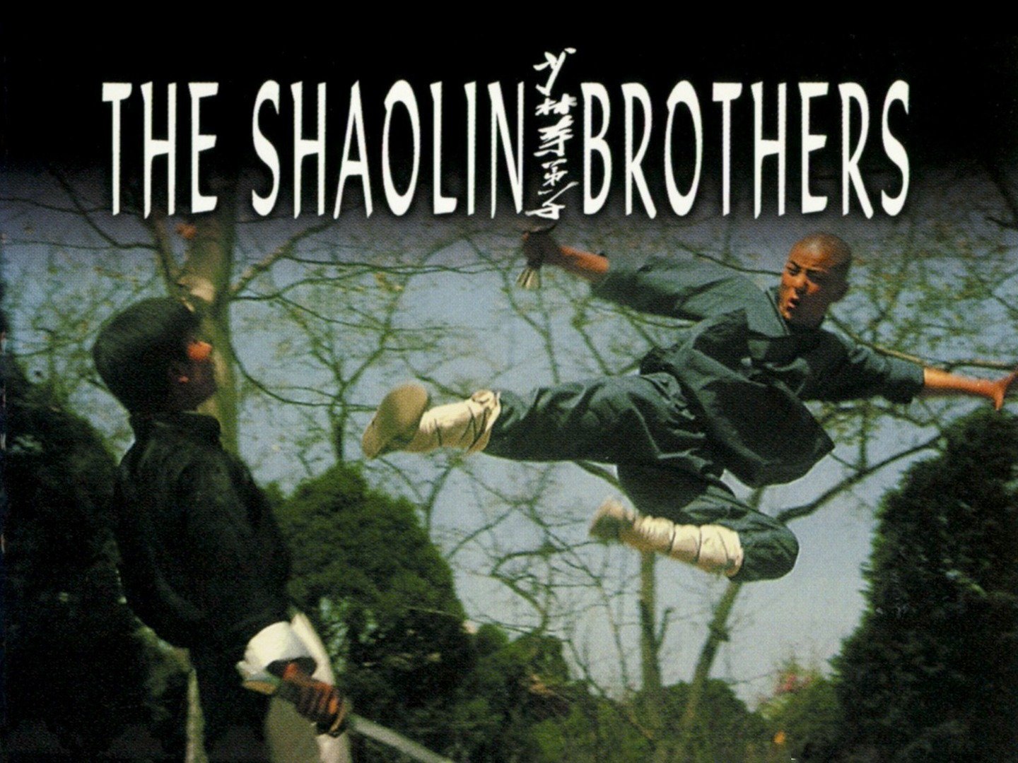 The Shaolin Brothers - Movie Reviews