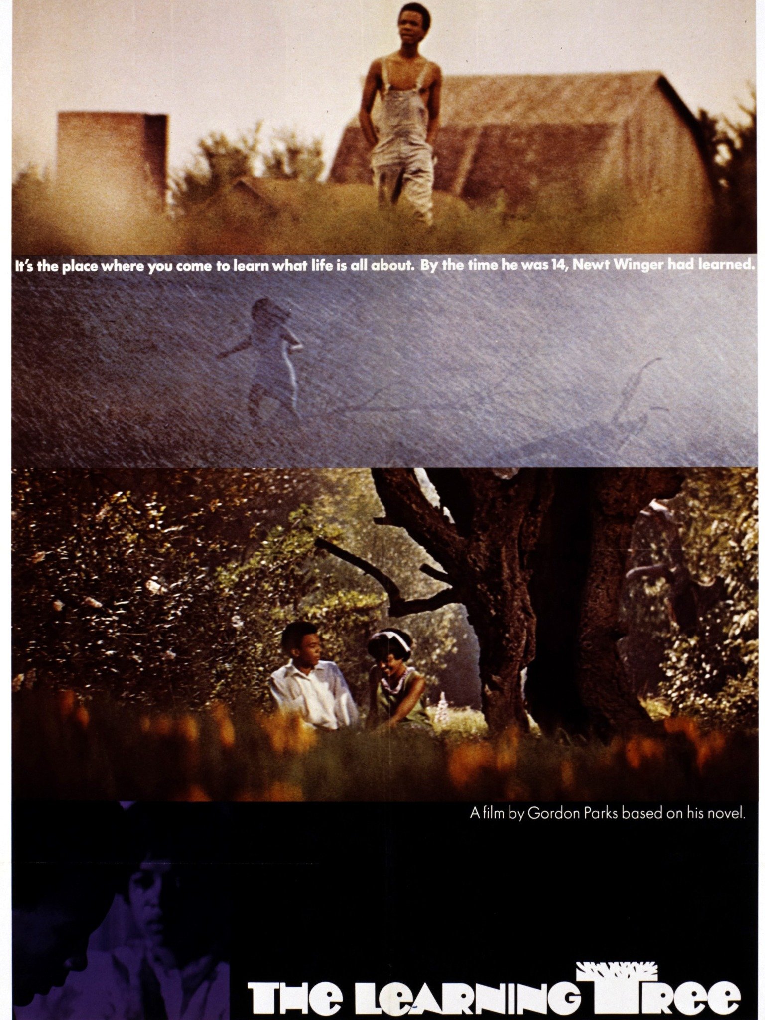 The Learning Tree (1969) - Rotten Tomatoes