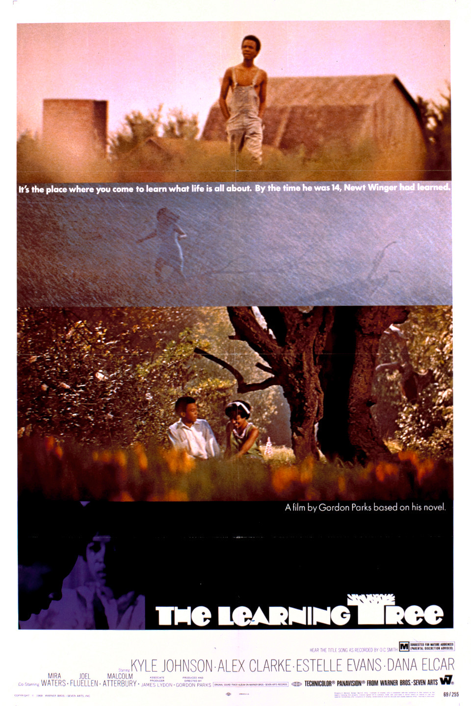 The Learning Tree - Movie Reviews