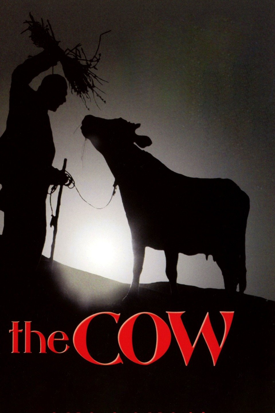 The Cow - Movie Reviews