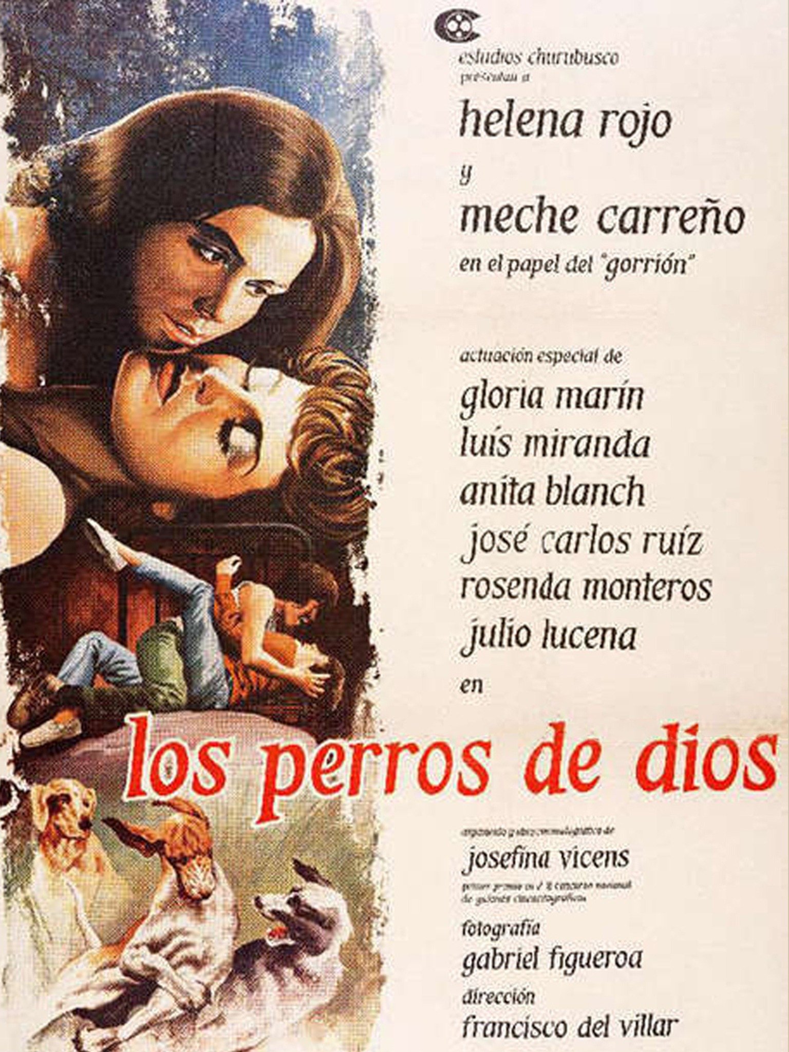 Amores Perros Movie Completa Youtube