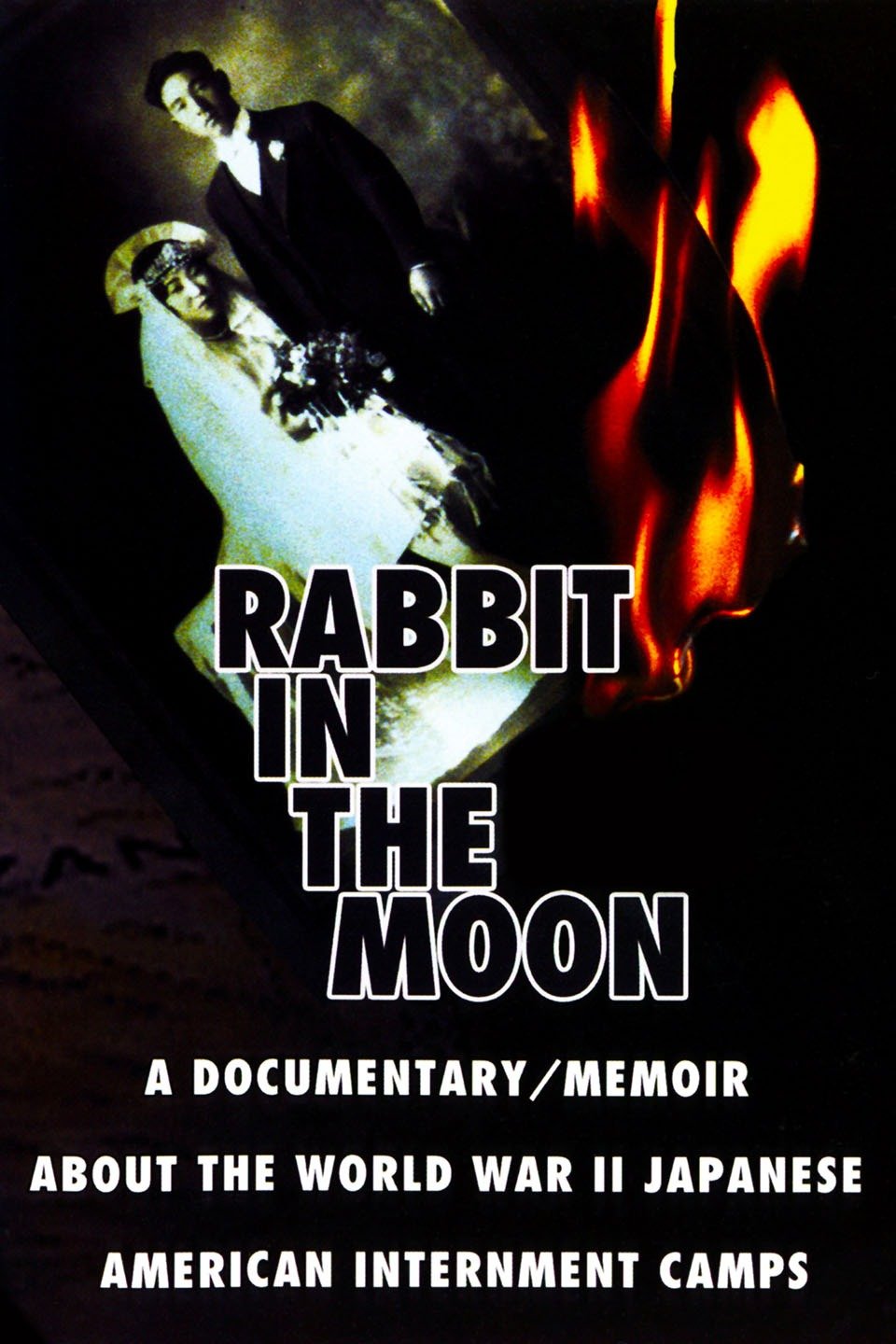 Rabbit in the Moon - Rotten Tomatoes