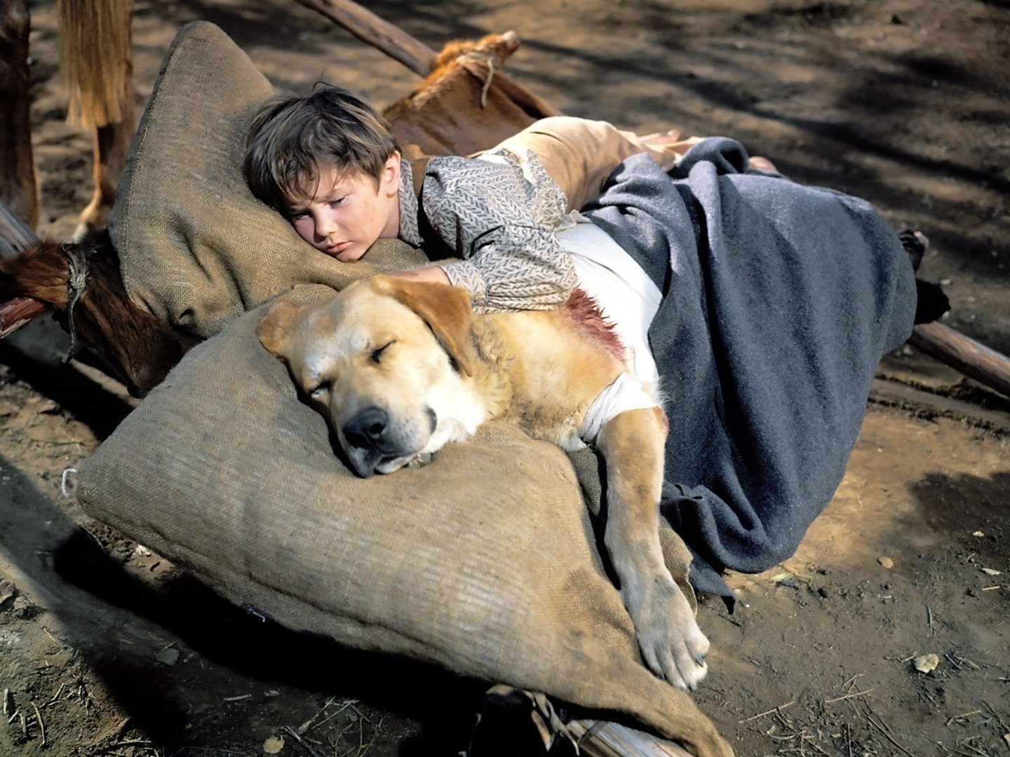Old Yeller Arliss