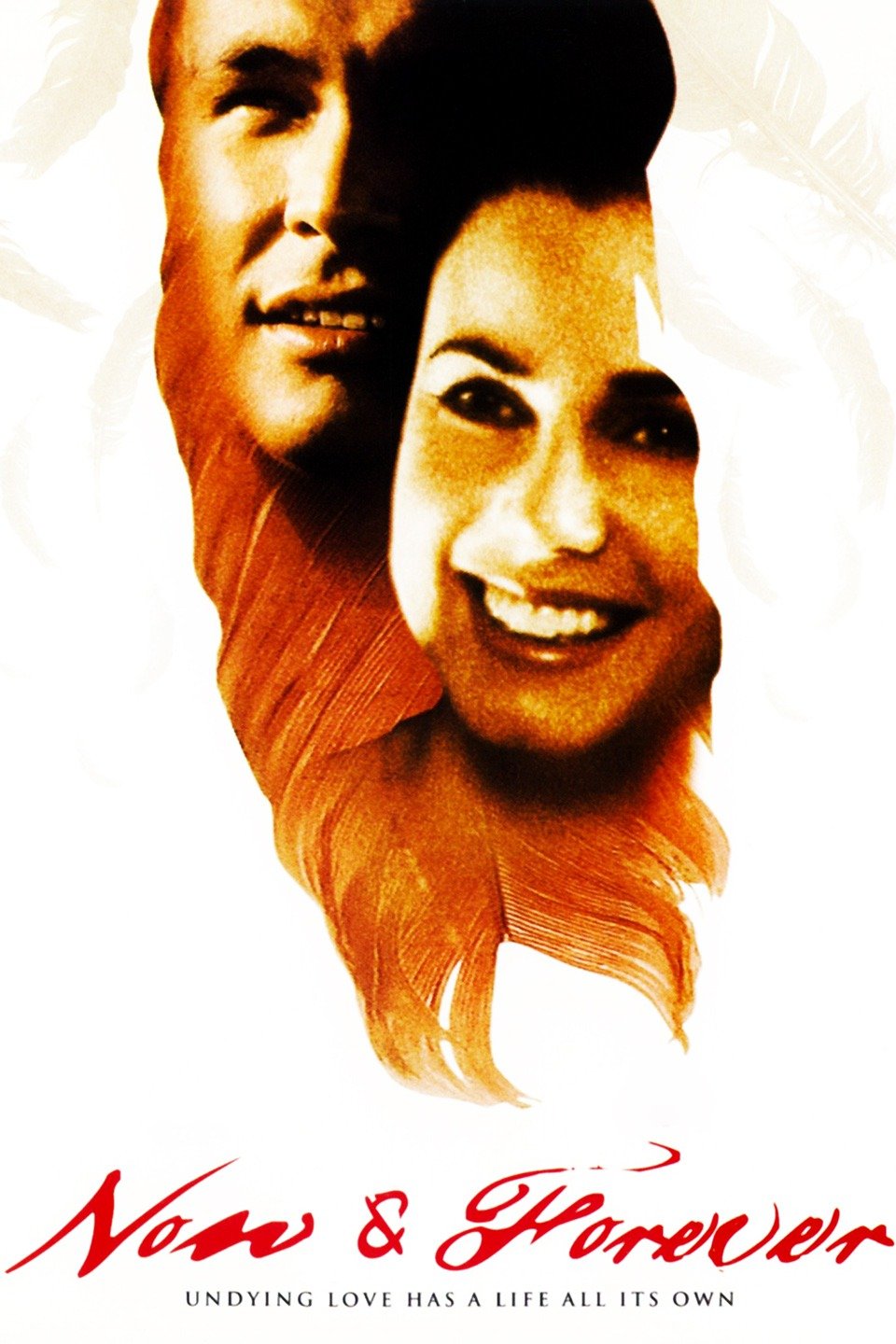 Now & Forever - Rotten Tomatoes