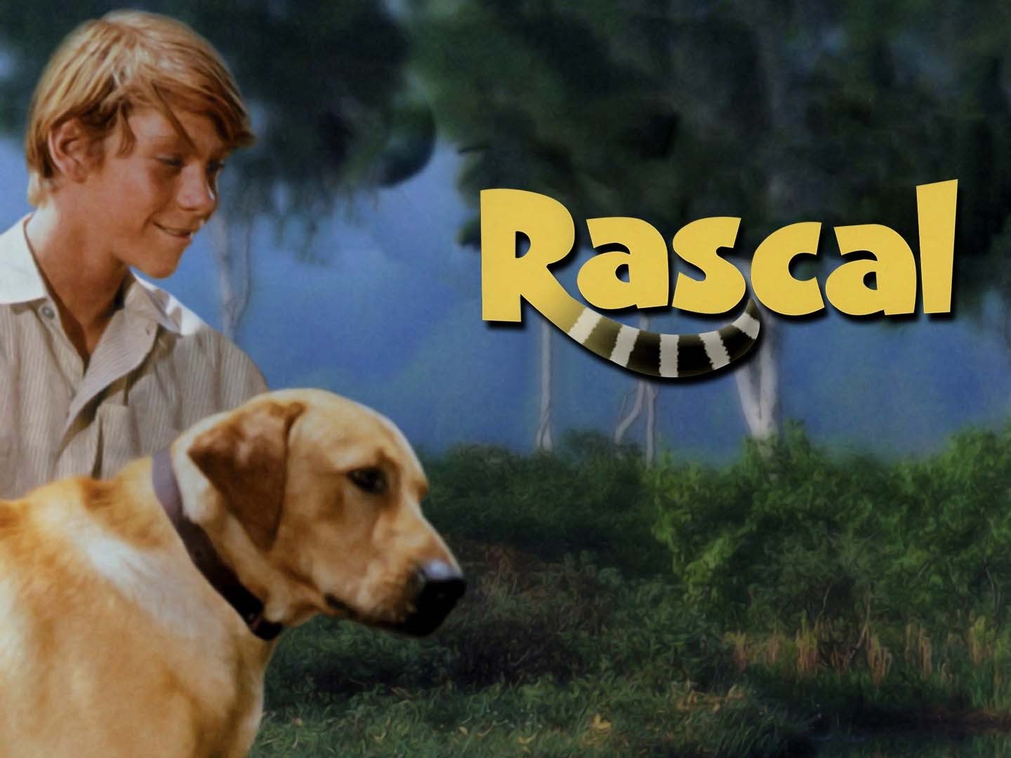 Rascal Pictures - Rotten Tomatoes