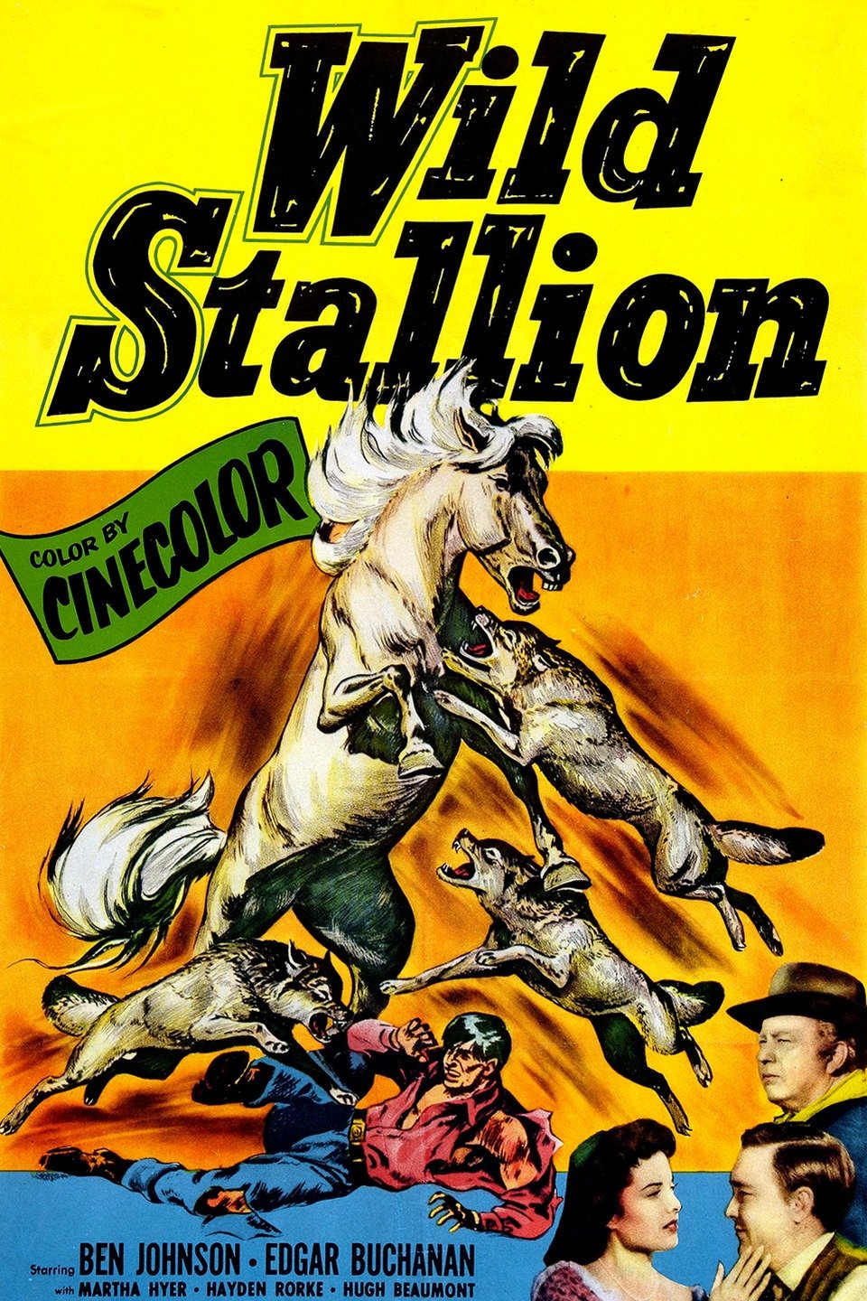 Wild Stallion - Rotten Tomatoes