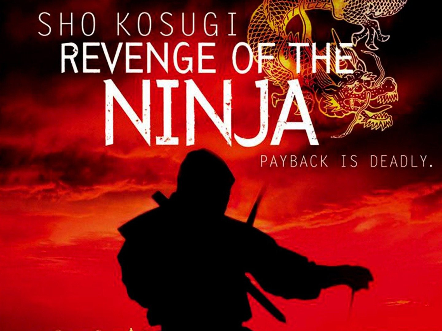 Revenge Of The Ninja Movie