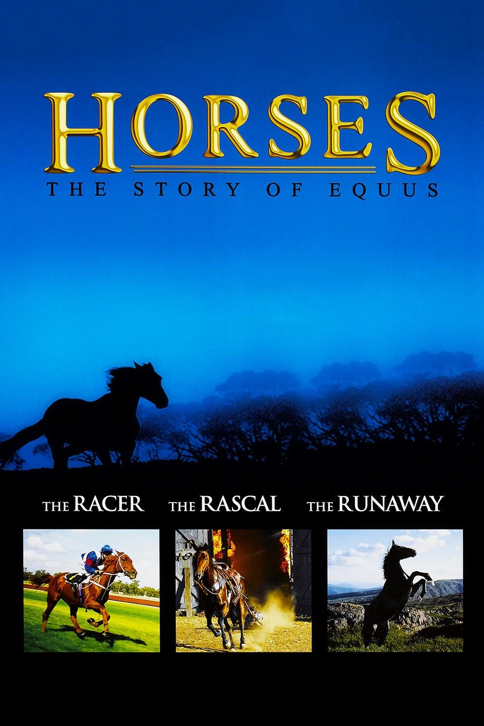 Horses: The Story of Equus - Rotten Tomatoes