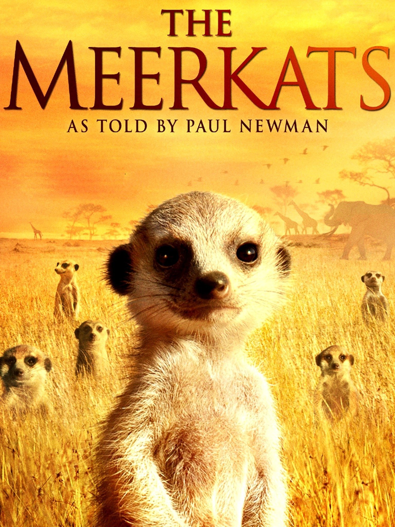 Meerkat Movies