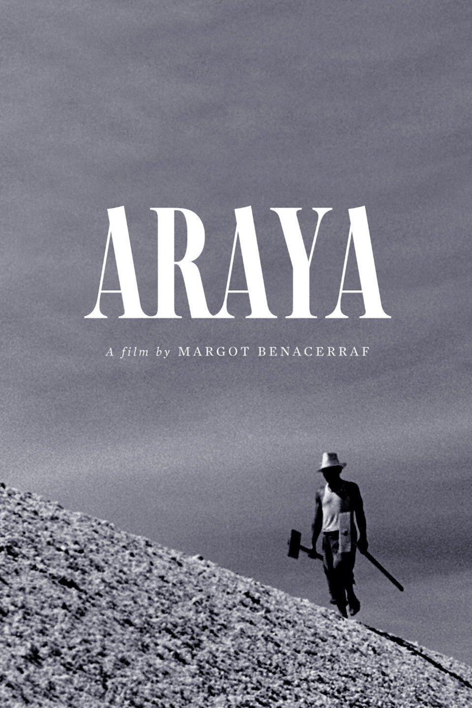 Araya Pictures - Rotten Tomatoes