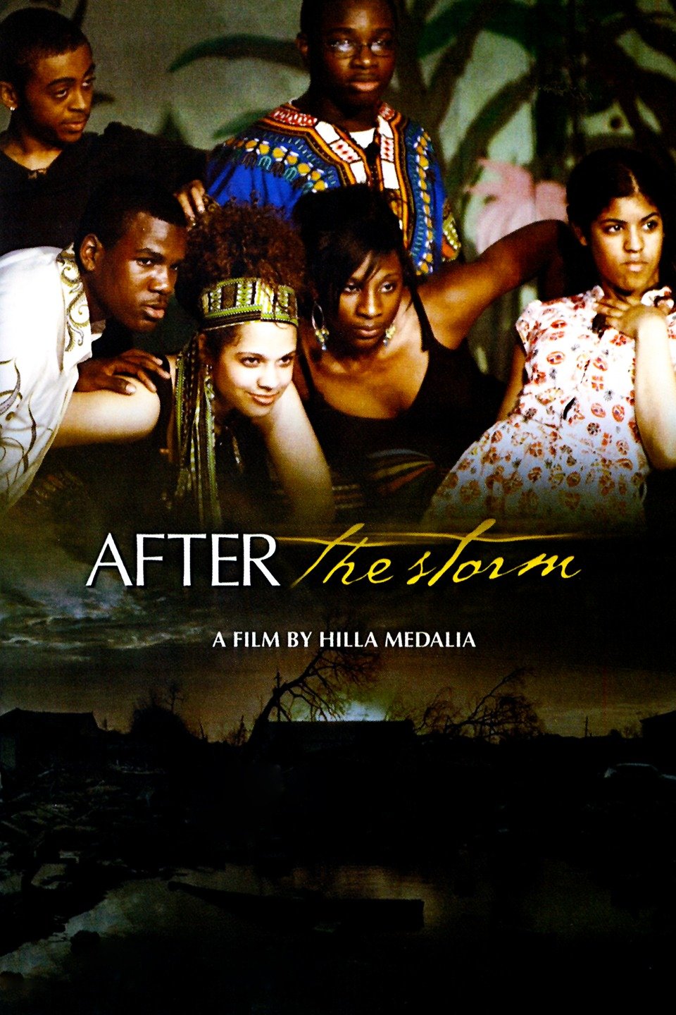 After the Storm - Rotten Tomatoes
