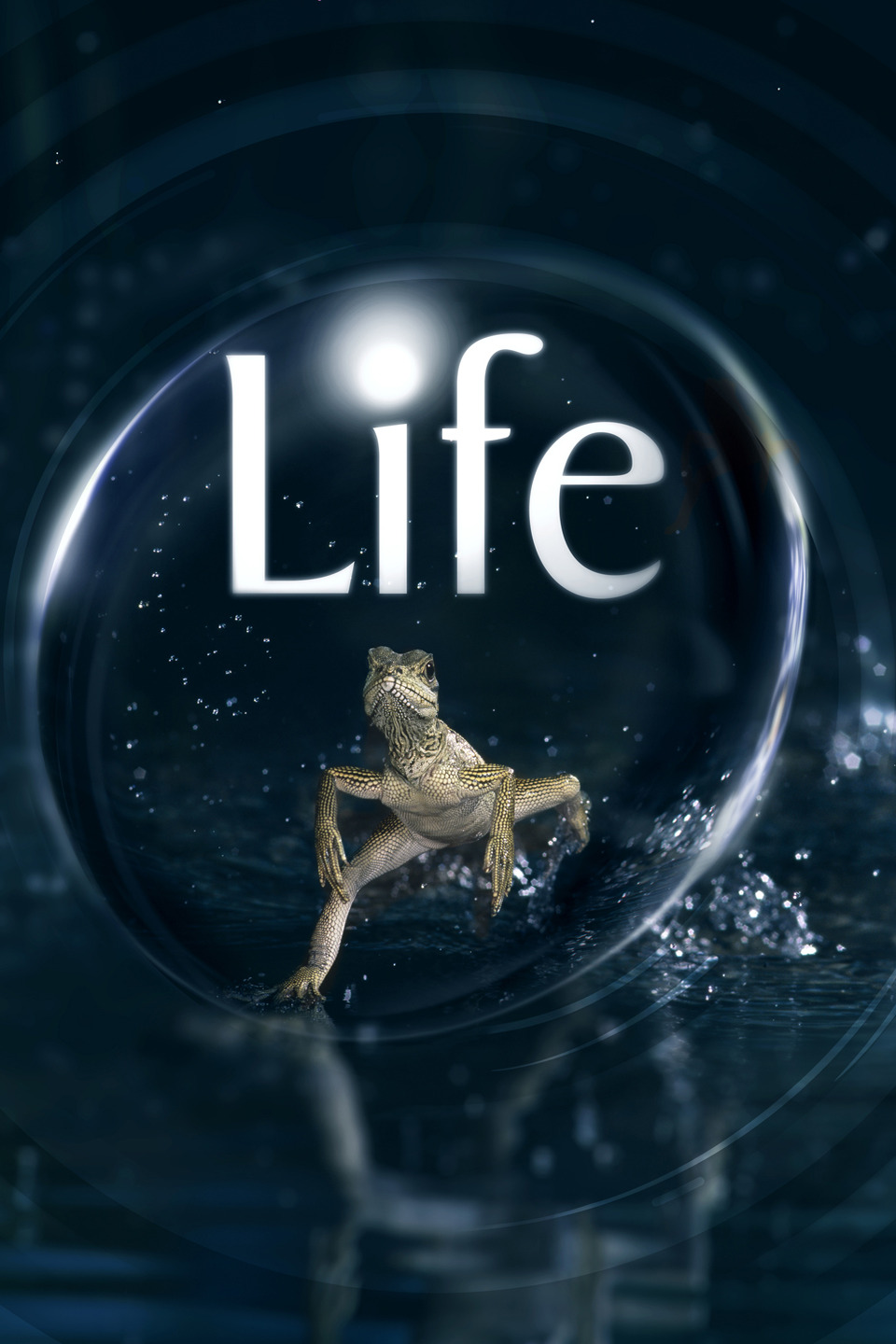 Life - Rotten Tomatoes