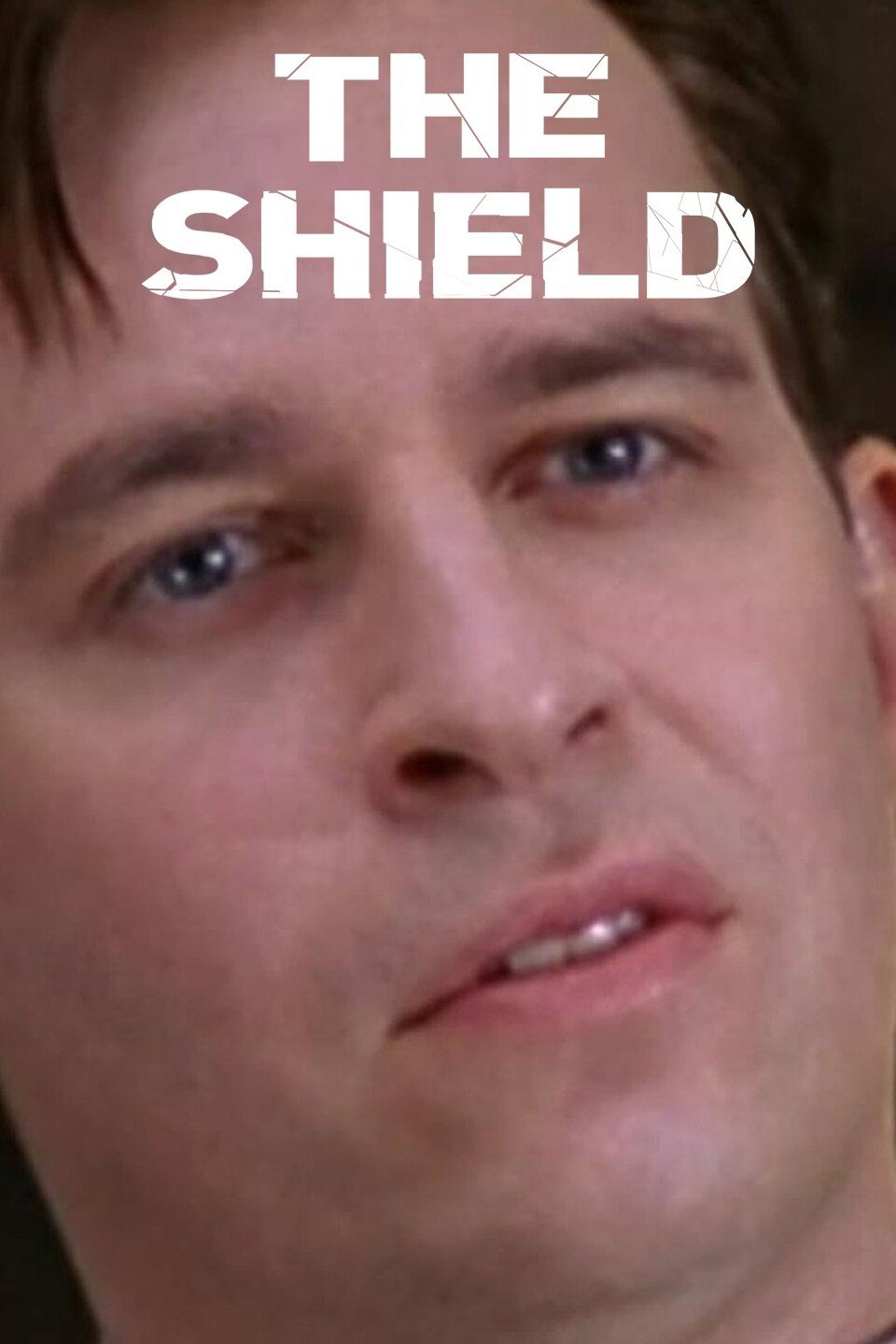 The Shield - Rotten Tomatoes