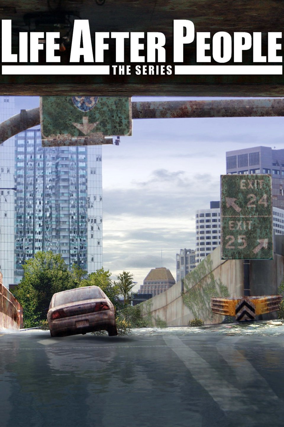 Life After People - Rotten Tomatoes