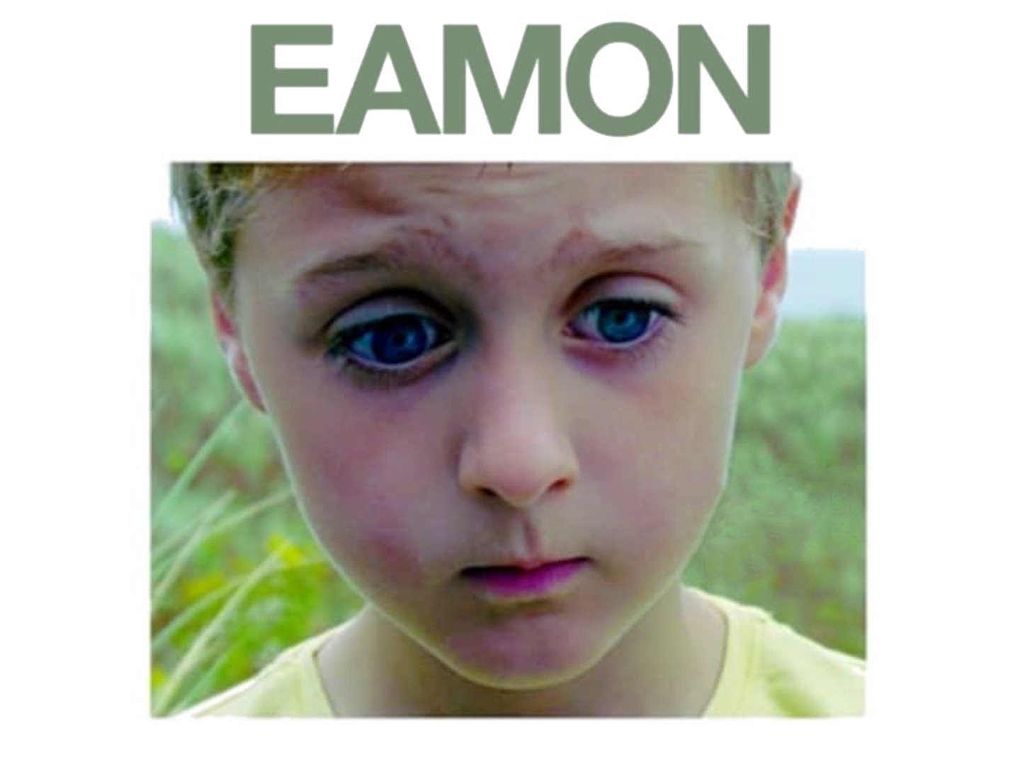 Eamon (2009) - Rotten Tomatoes