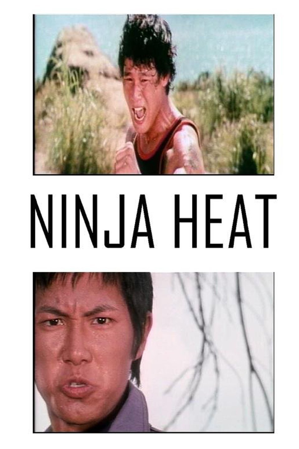 Ninja Heat Pictures - Rotten Tomatoes